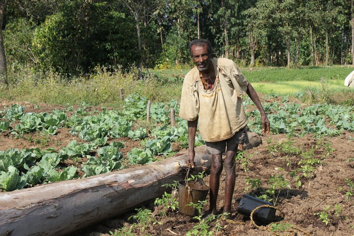 Famine prevention, food security and hunger | Evidence for Development