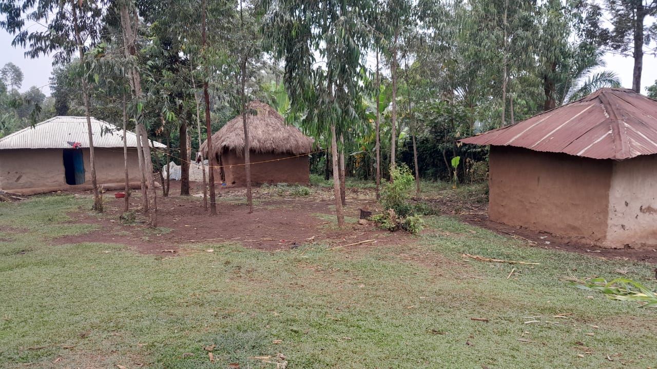 Measuring poverty and livelihoods with The Nasio Trust: A baseline ...